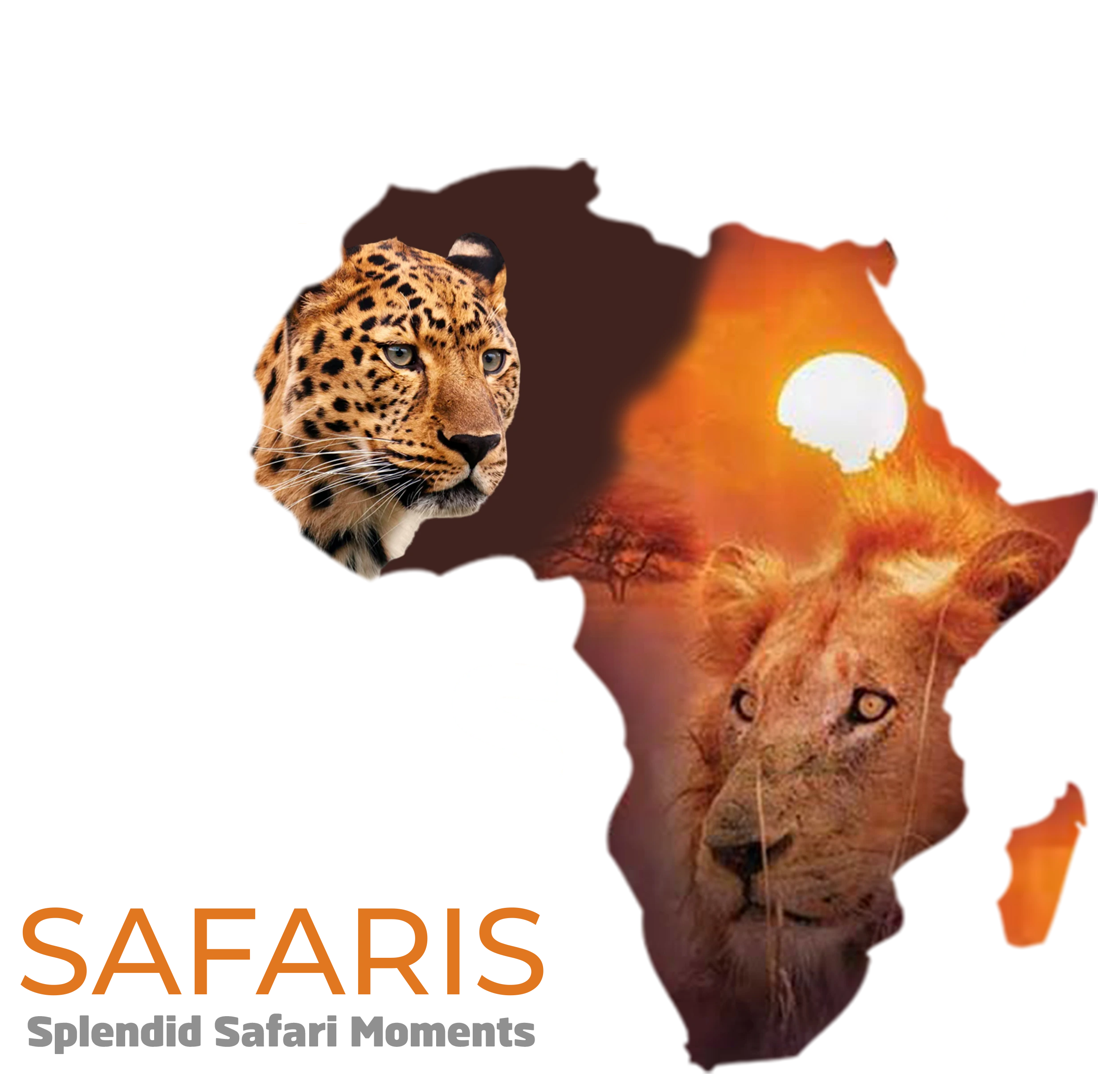 Paws and Claws Safaris - Unforgettable Adventures in Tanzania